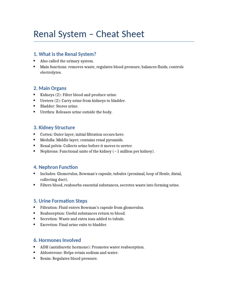Renal System Overview and Functions | PDF