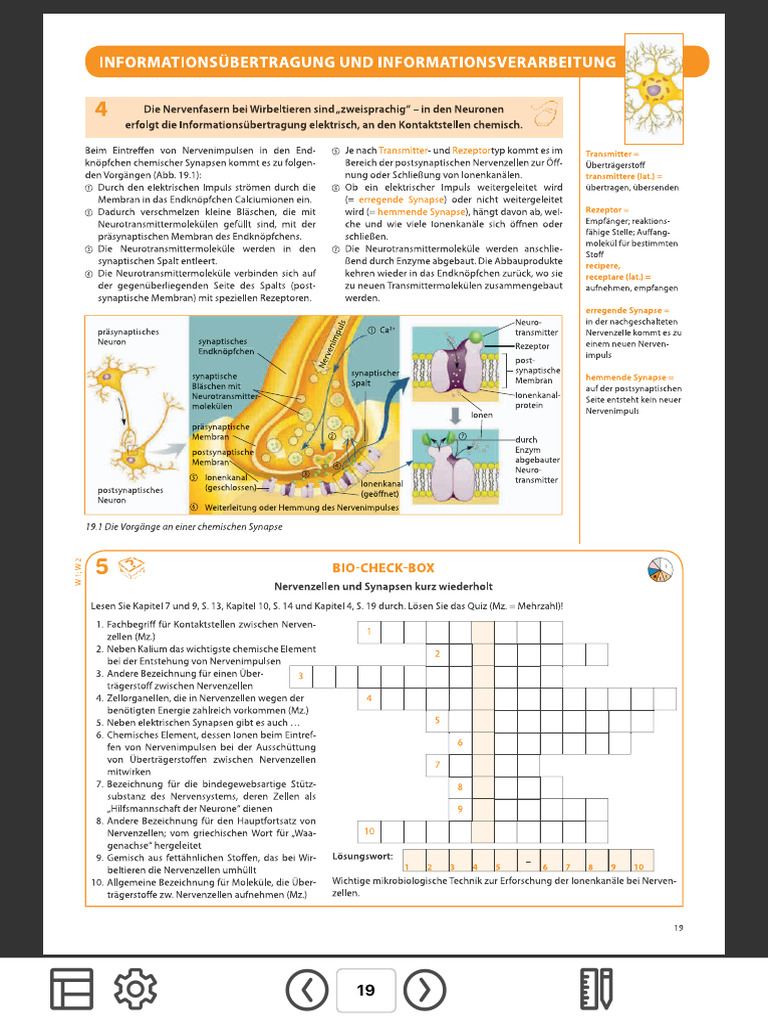 Bio@school 6 NEU. Lehrplan 2016. Buch + E-Book | PDF