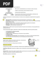 Reobase y Cronaxia en Fisioterapia | PDF | Salud y bienestar | Métodos ...