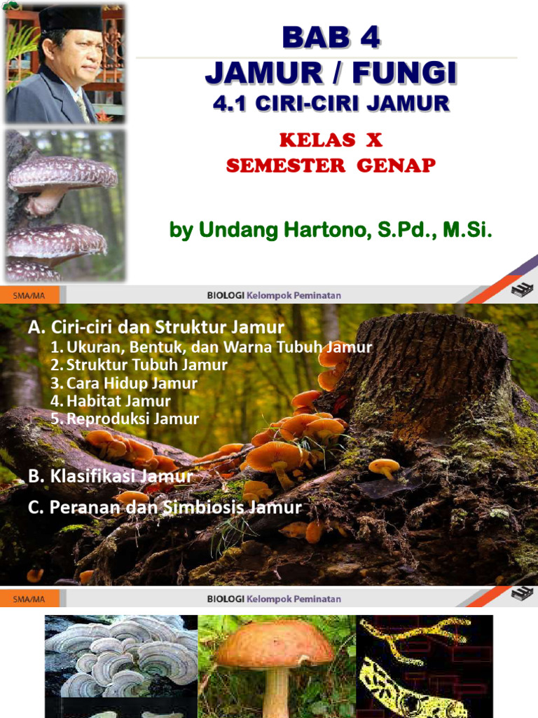 Bahan Ajar Bab 4-1 Ciri-ciri, Struktur, dan Reproduksi Jamur | PDF