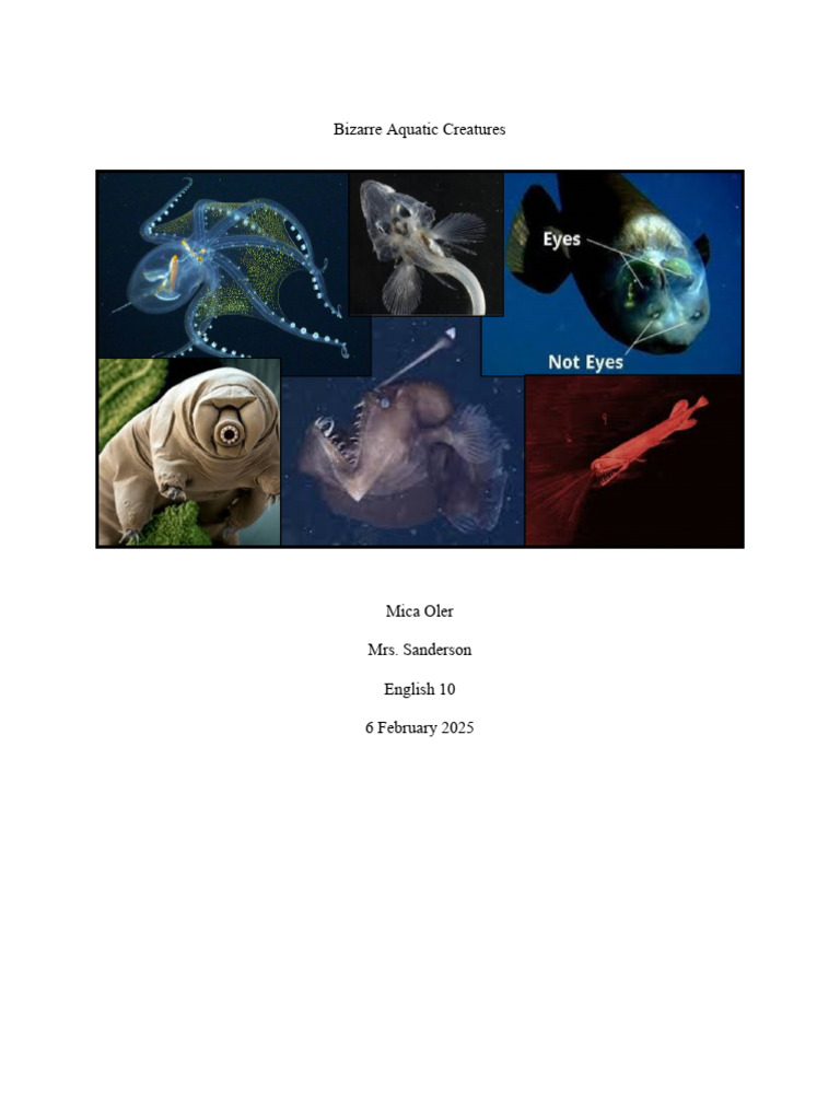 Bizarre Aquatic Creatures | PDF | Biology | Zoology