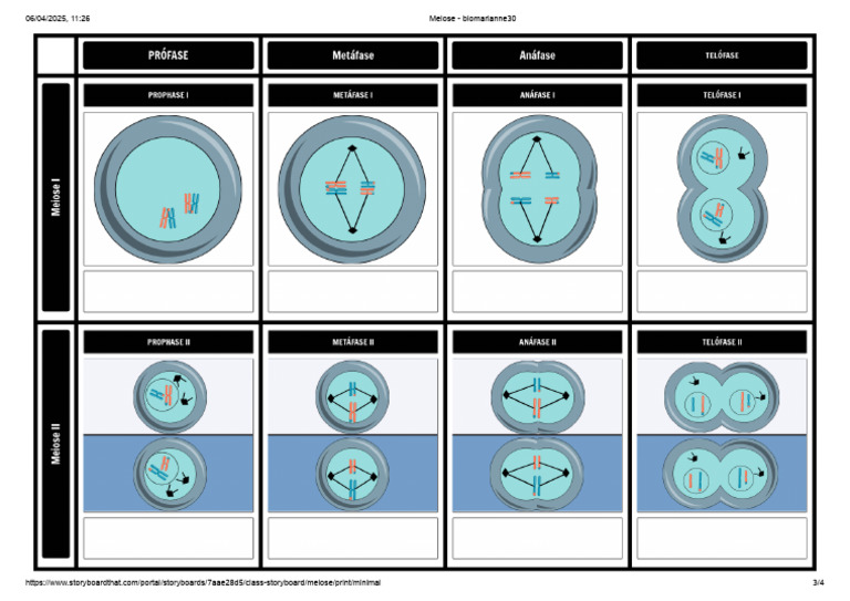 Jogo da Meiose - | PDF