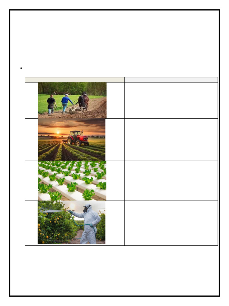 Worksheet (Methods of Farming) | PDF
