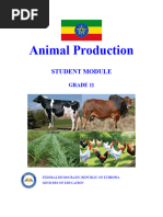 Animal Science Terms | PDF | Chicken | Cattle
