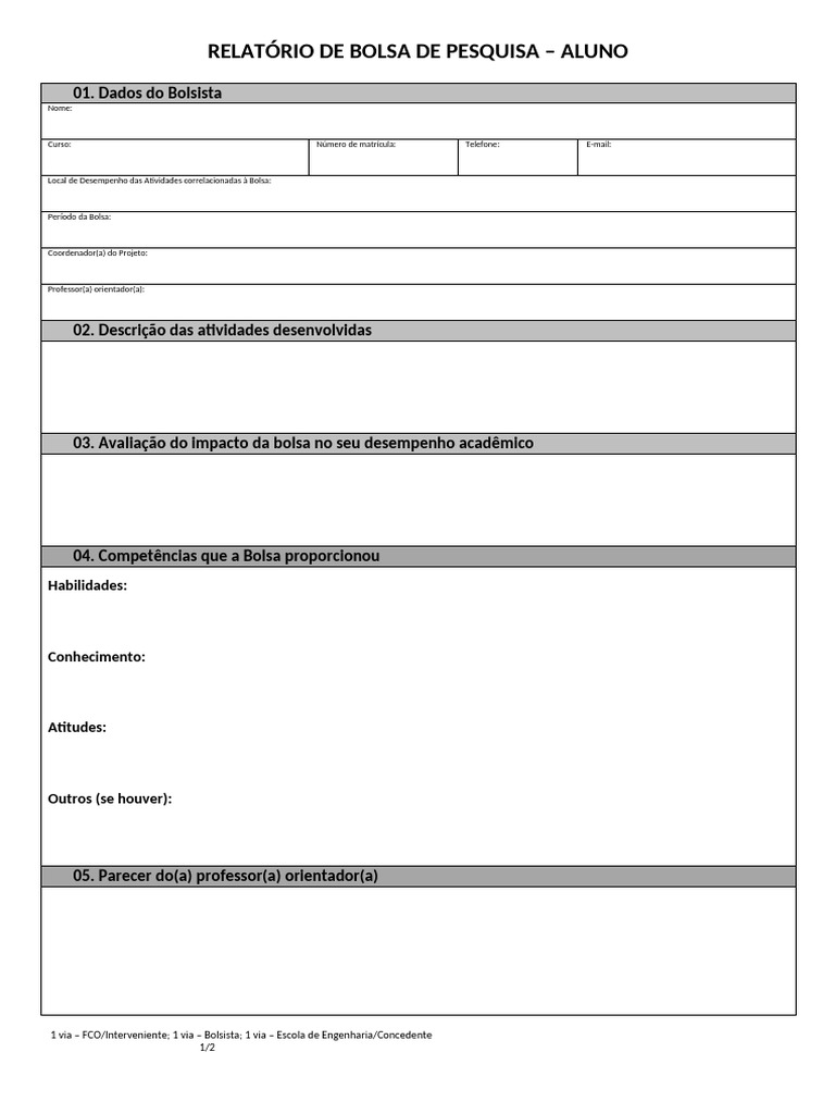 Modelo Relat Bolsa Pesquisa - Aluno | PDF