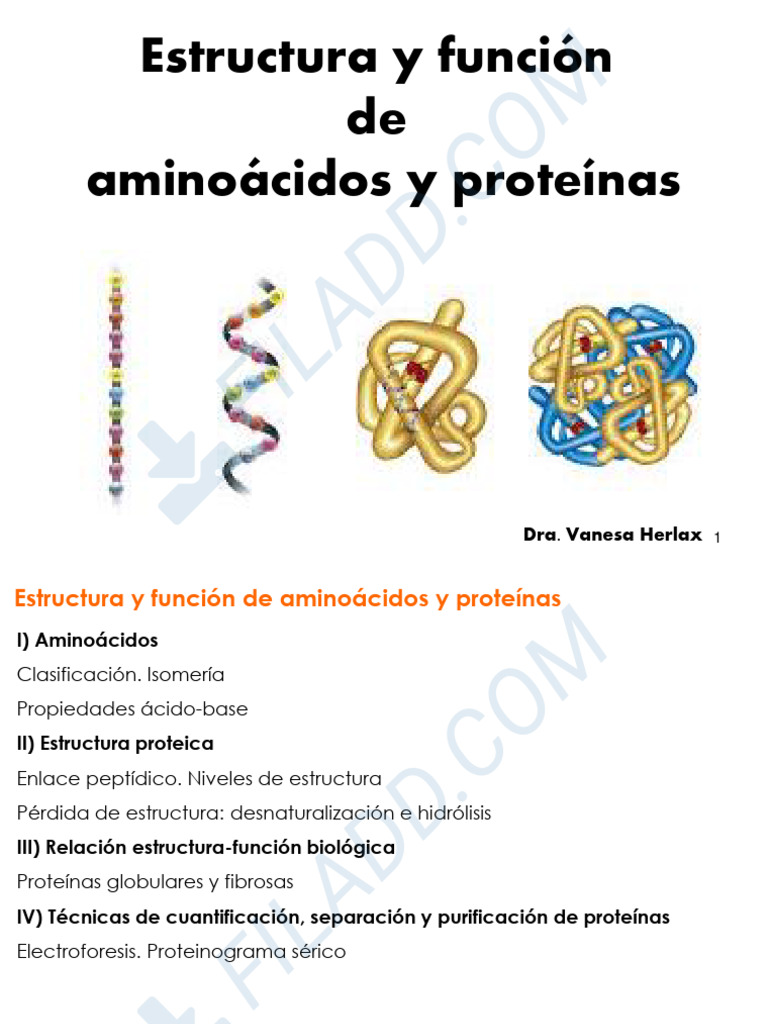 1 Estructura y Funcion de Aminoacidos y Proteinas 2021 | PDF ...