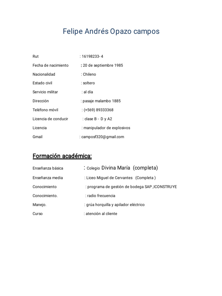 Curriculum Felipe Opazo 2025 | PDF