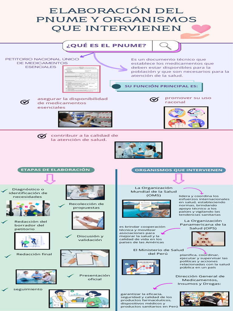 Infografia Pnume | PDF | Organización Panamericana de la Salud ...
