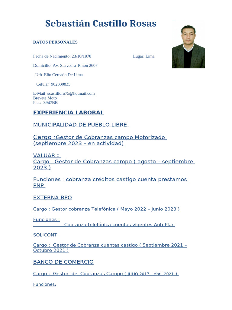 CV - Sebastian Castillo 2024. | PDF | Economias | Business