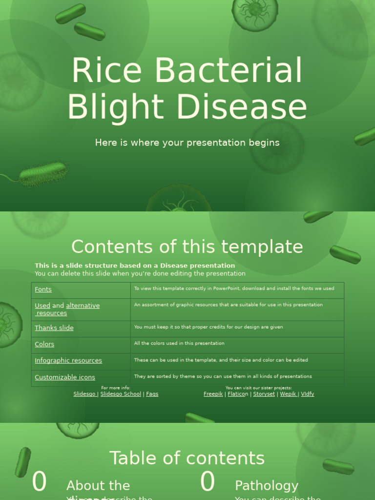 Rice Bacterial Blight Disease by Slidesgo | PDF | Planets | Sun