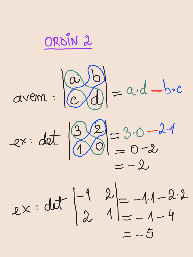 Determinanți - 250305 - 123345 | PDF