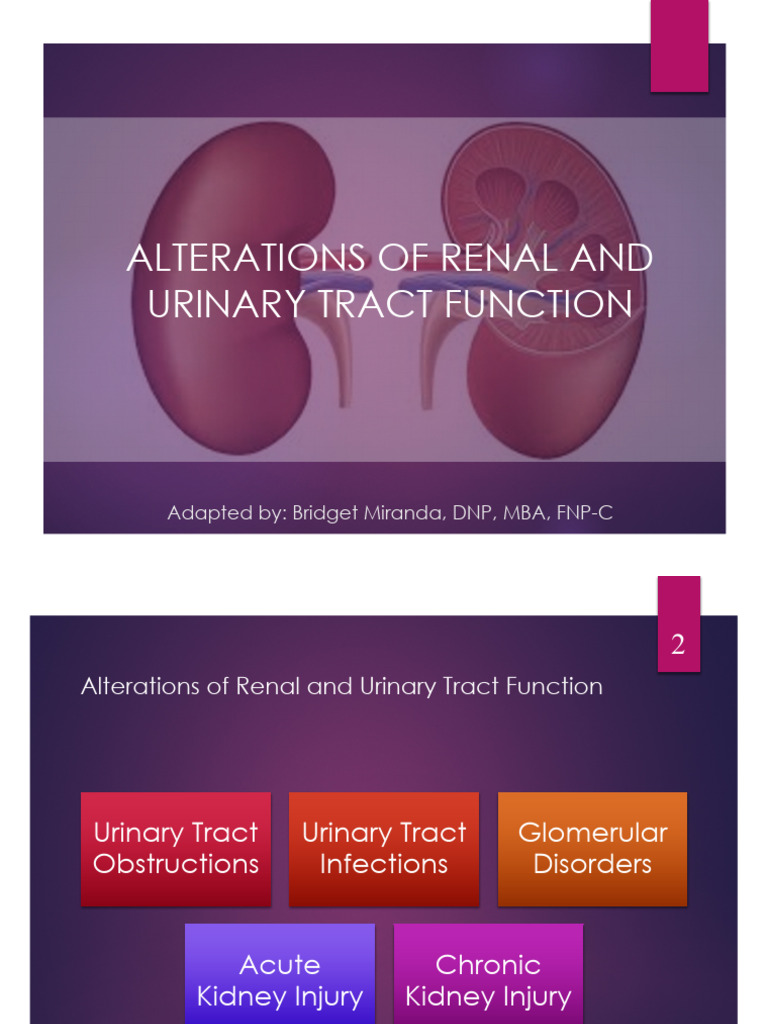 Alterations of The Renal System and Urinary Tract - Miranda Class ...