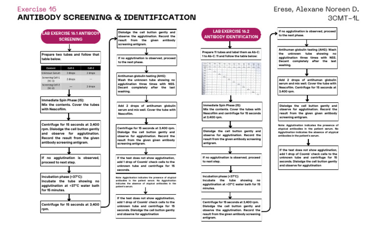Flow Chart - Antibody Screening and Identification | PDF | Blood | Serology