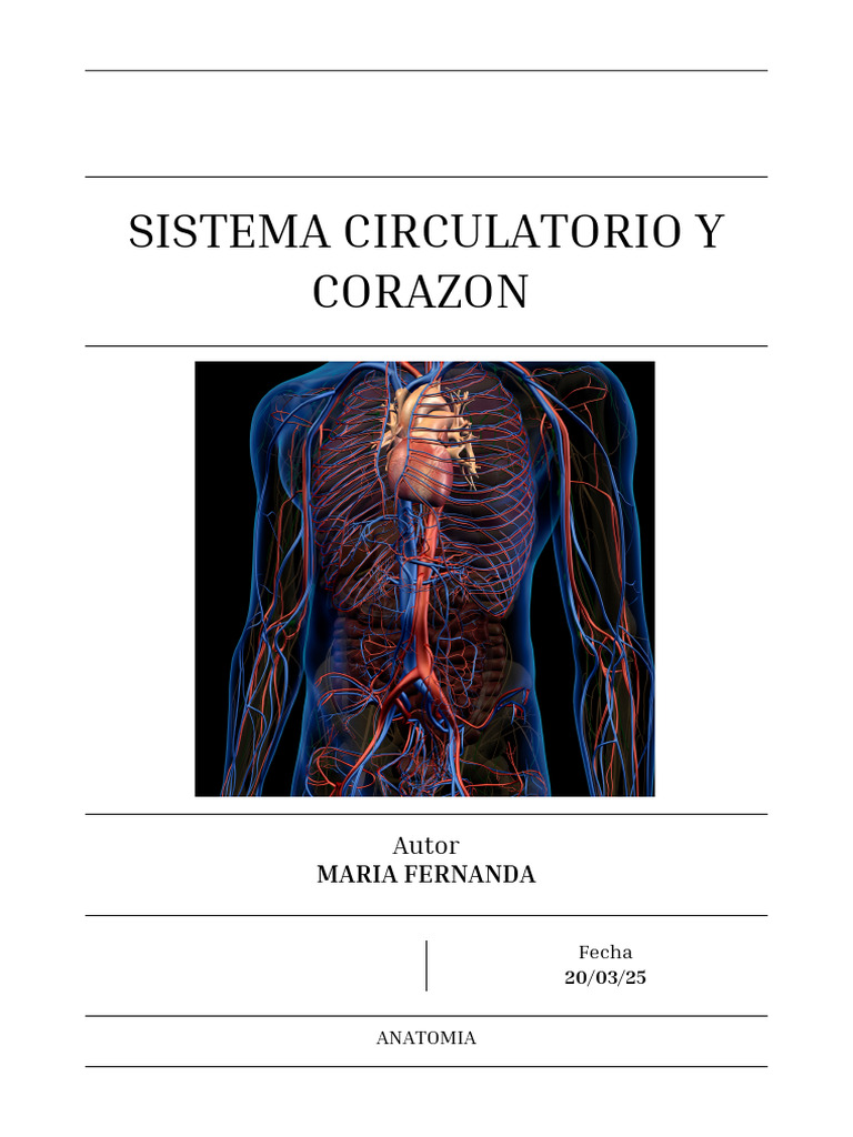 Sistema Circulatorio y Corazon (1) | PDF | Corazón | Sistema circulatorio