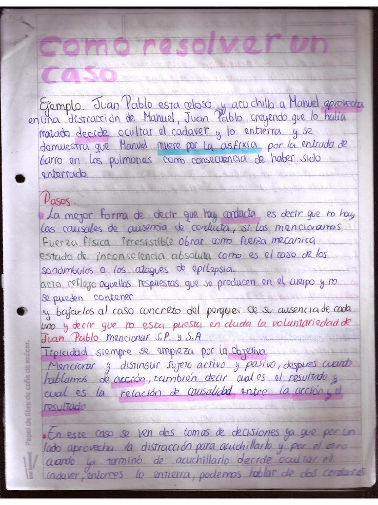 Cómo Resolver Un Caso en Penal | PDF
