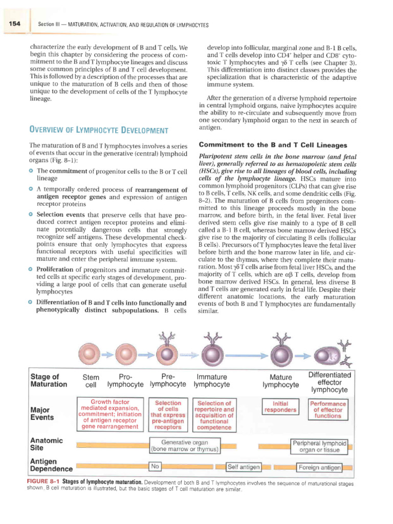 Abul_K_Abbas_MBBS,_Andrew_H_Lichtman_MD_PhD,_Shiv_Pillai_MD_Cellular ...