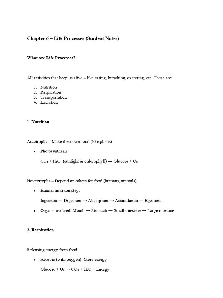 New Personal Notes | PDF