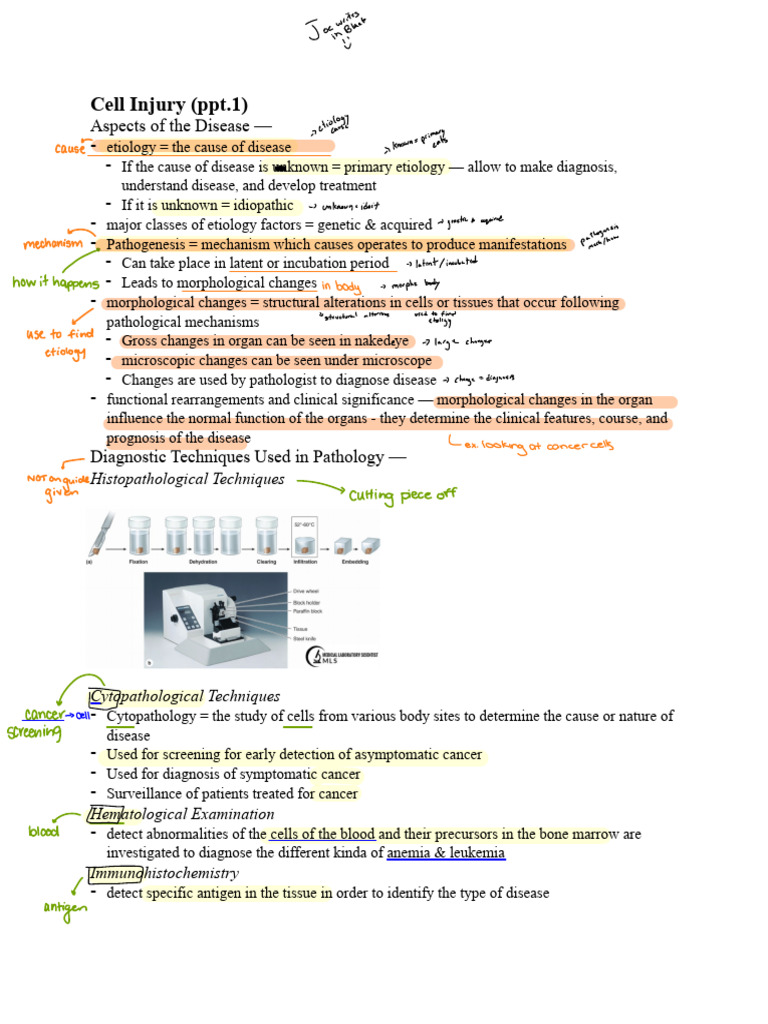 Patho Notes | PDF | Autophagy | Proteasome