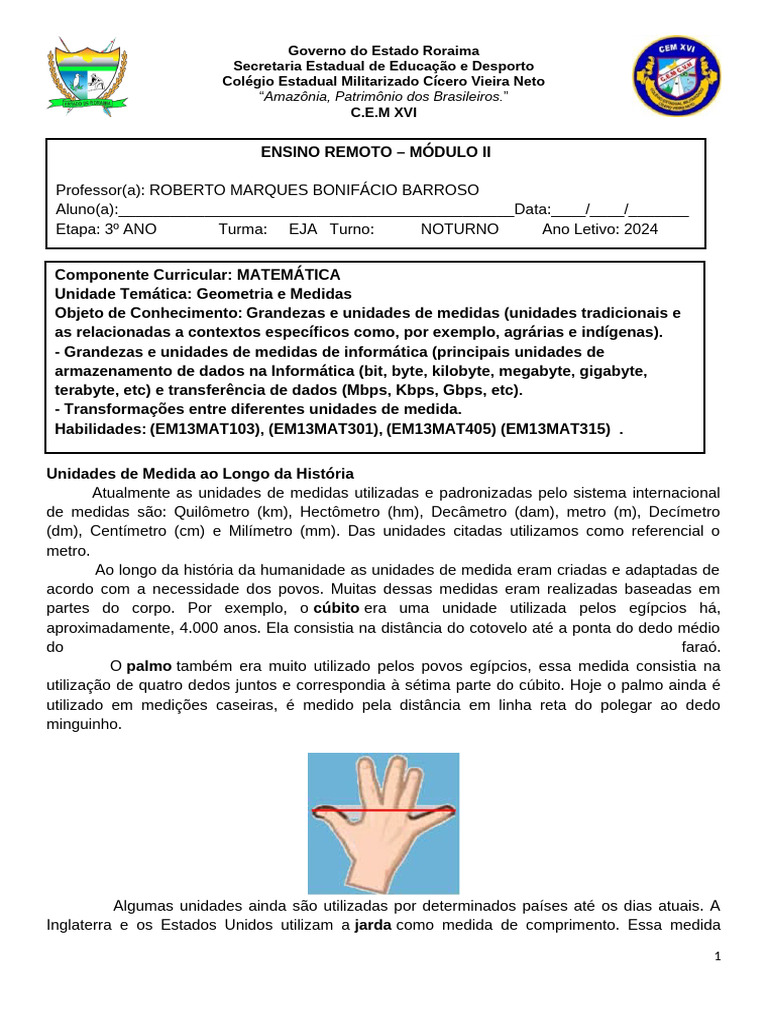 Atividades Remota (2) 3 Ano Eja | PDF | Sistema internacional de unidades | Quilograma