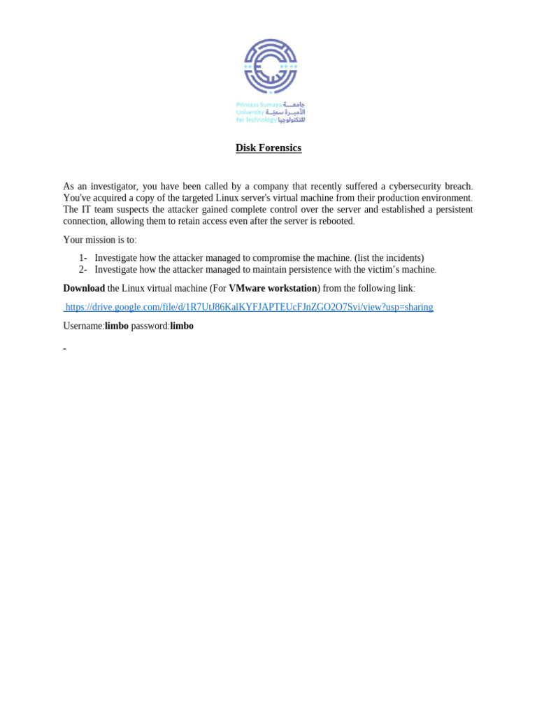 Disk Forensics | PDF