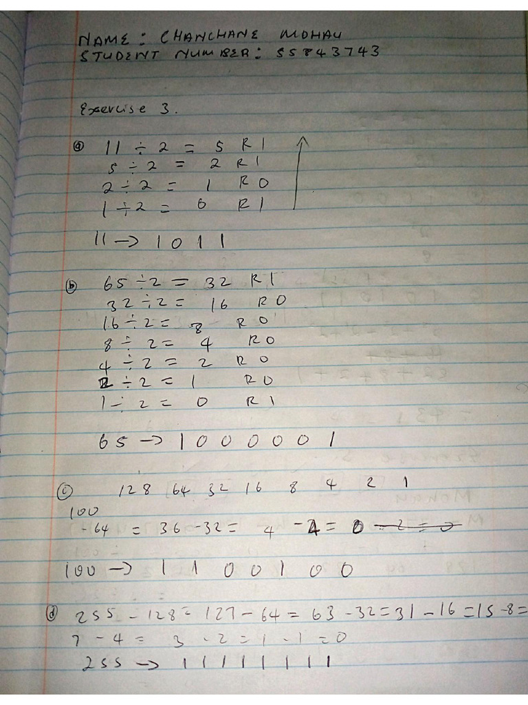 Binary Exercise | PDF