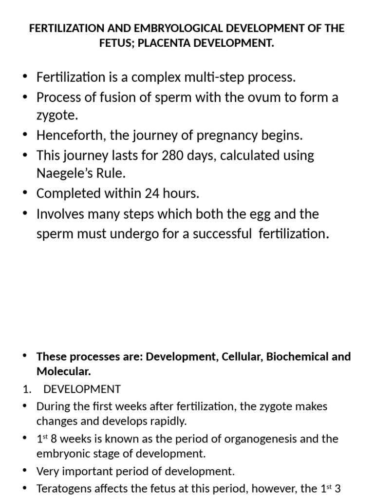 Fertilization and Embryological Development of The Fetus | PDF | Sperm ...