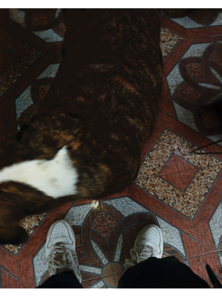 PDFReader 20250507 17 | PDF