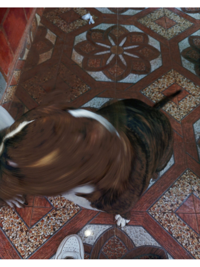 PDFReader 20250507 1702 | PDF