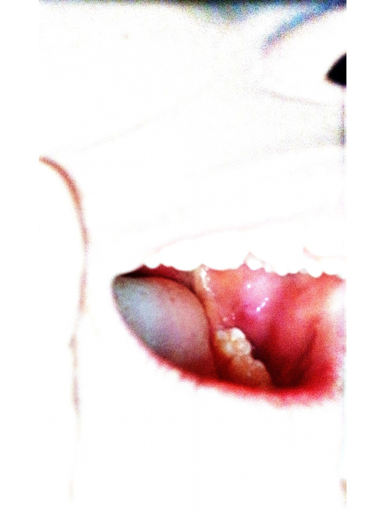 PDFReader 20250507 | PDF