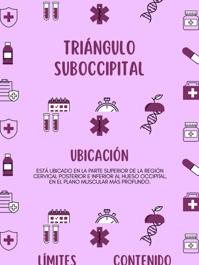 TRIÁNGULO SUBOCCIPITAL - ANATOMÍA | PDF