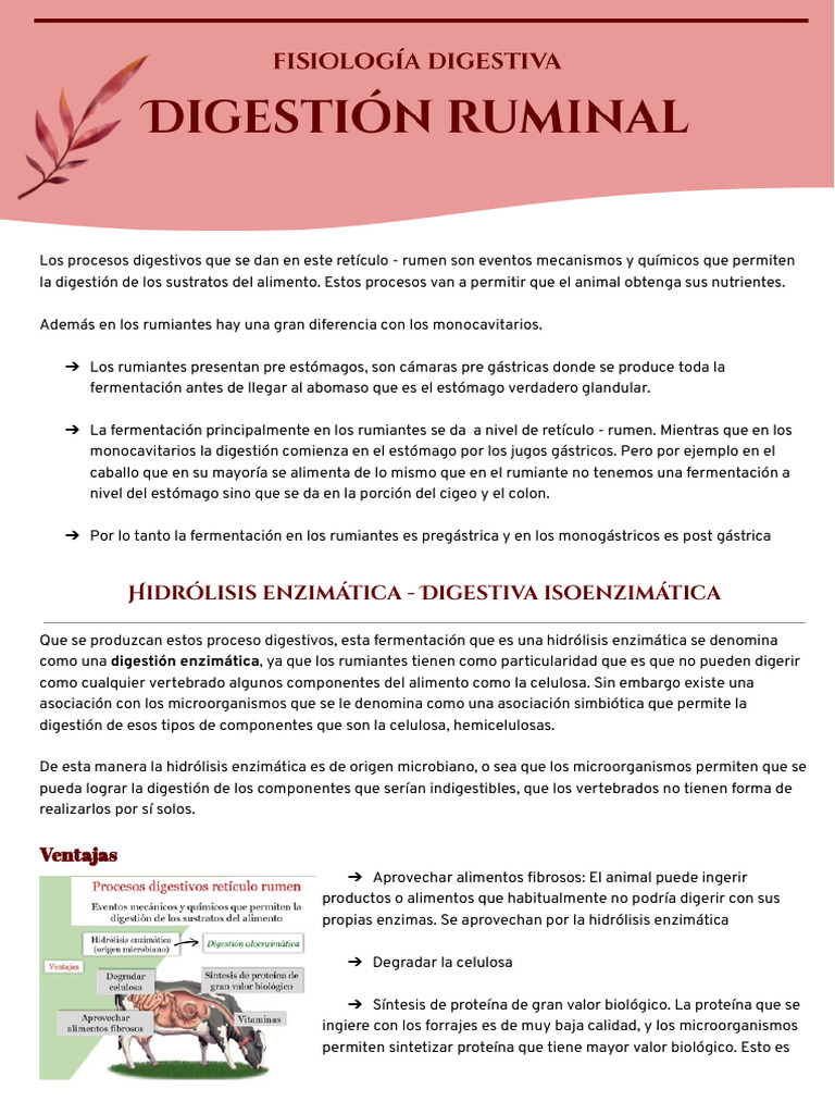 Digestión Ruminal - Fisiología Digestiva | PDF | Rumiante | Digestión