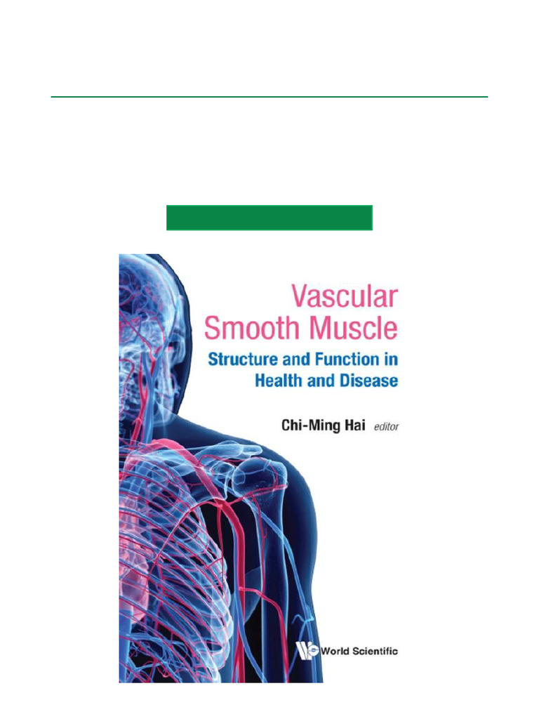 VASCULAR SMOOTH MUSCLE Structure and Function in Health and Disease Accessible DOCX Download ...