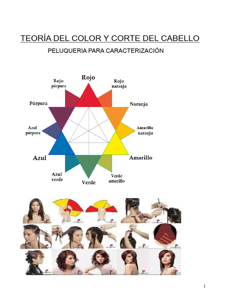 Colorimetría y Teoría del Cabello | PDF | Color | Matiz