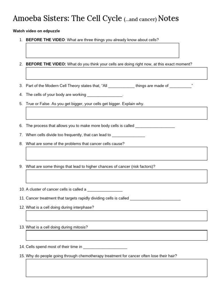 Amoeba+Sisters +the+Cell+Cycle+ (And+cancer) +Video+Notes+Page | PDF ...