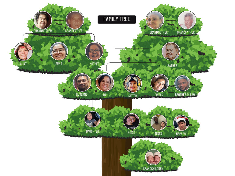 Beige Minimalist Lines Family Tree | PDF
