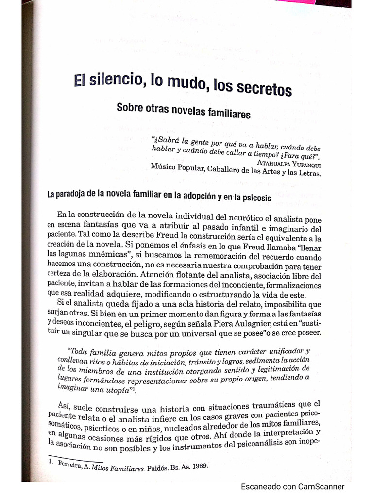 Fudin - Los Secretos | PDF