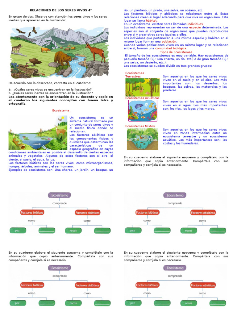 Actividad Relaciones de Los Seres Vivos 4° | PDF | Ecosistema | Suelo