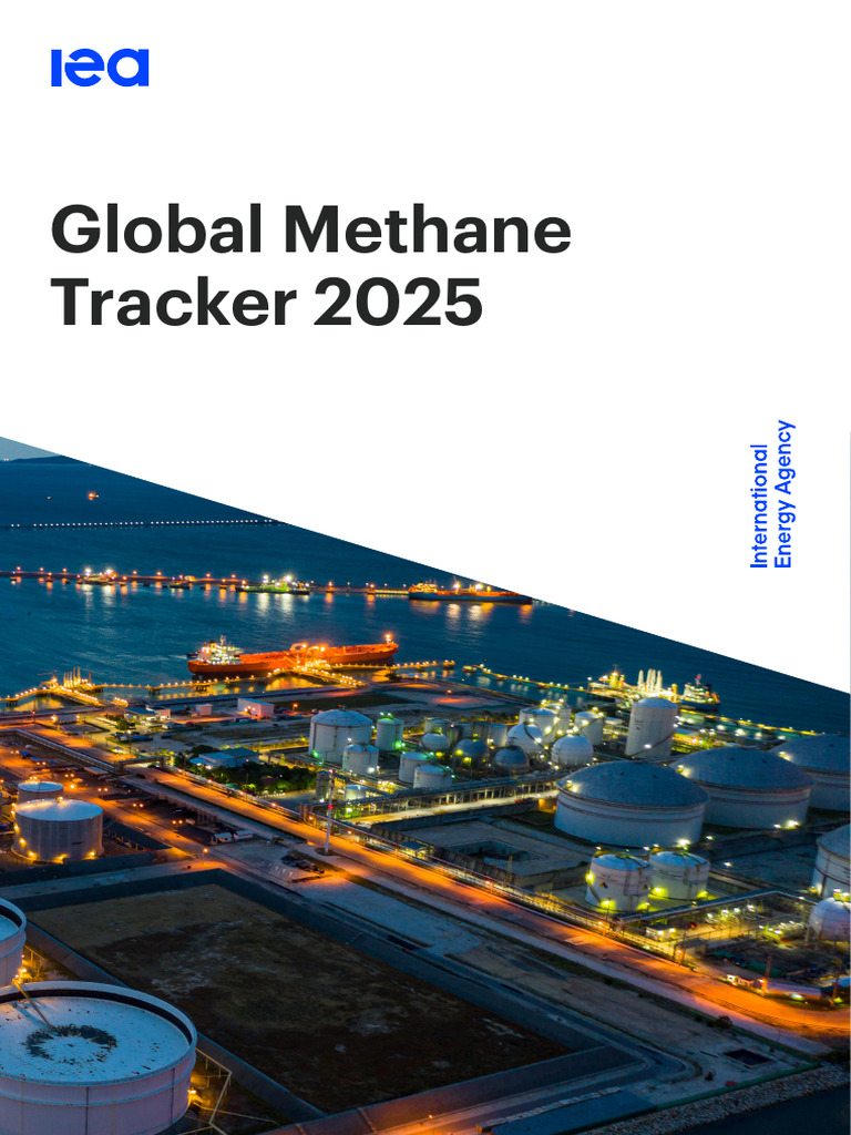 Global Methane Tracker 2025 | PDF | Natural Gas | Methane
