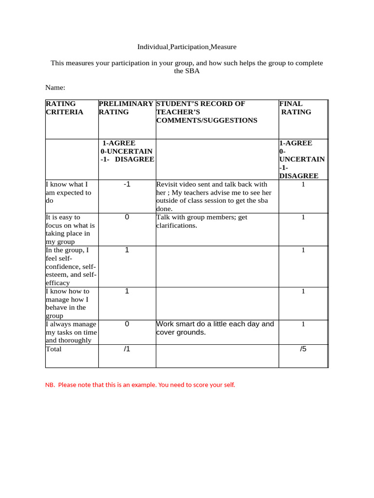 Individual Participation Measure Guide | PDF