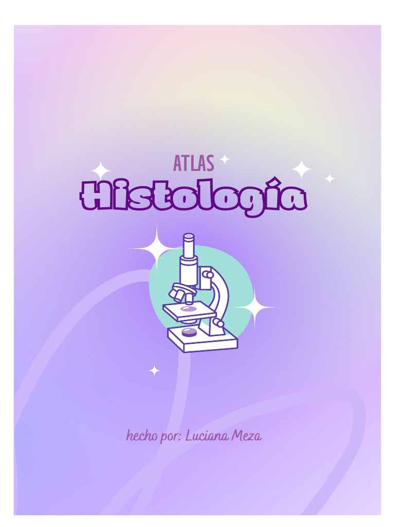 Abrir Portafolio-Morfo-1 5 | PDF | Epitelio | Tejido conectivo