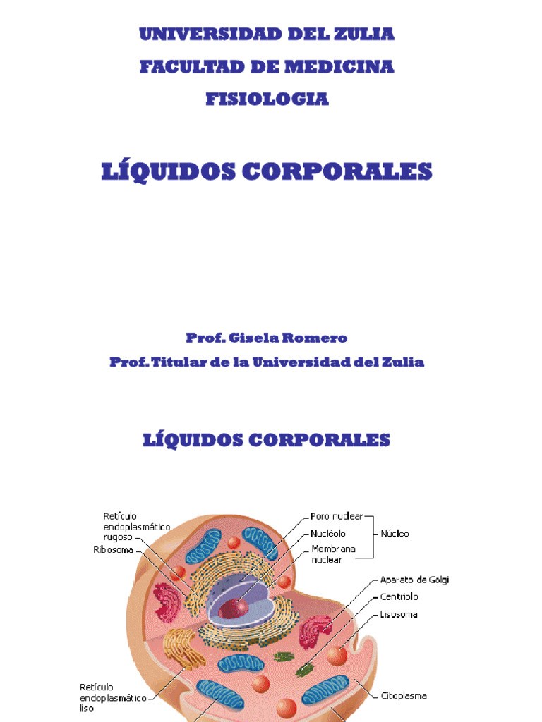 LIQUIDOS CORPORALES CLASE OCTUBRE 2021 (2) | PDF