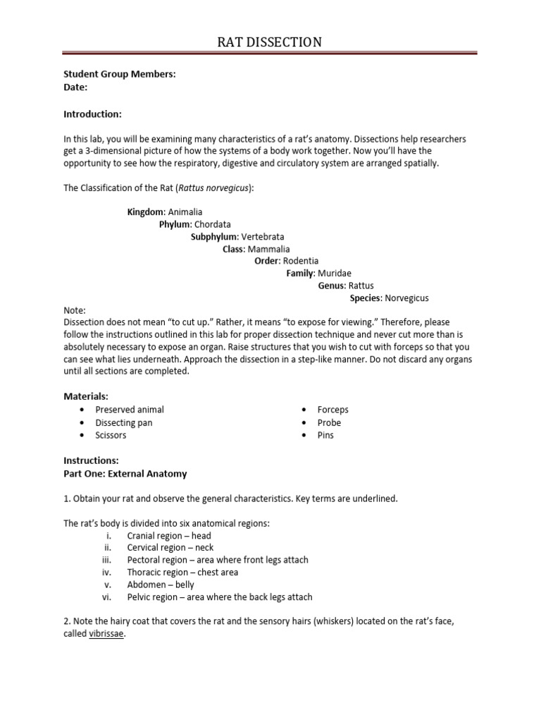 1d30409f 3ed1 4b2a 9ec6 926dbedcd43c Rat Dissection Student Version ...