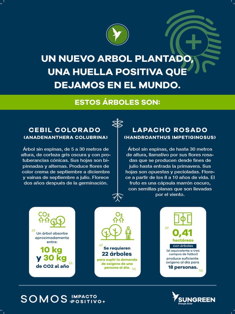 Cartel Sungreen | PDF