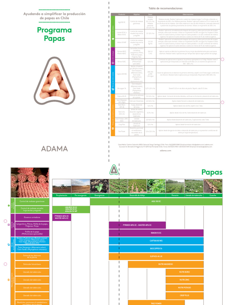 papas_2_tcm58-27051 | PDF | Patata | Plantas