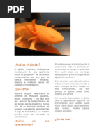 Ciclo de Vida del Ajolote | PDF