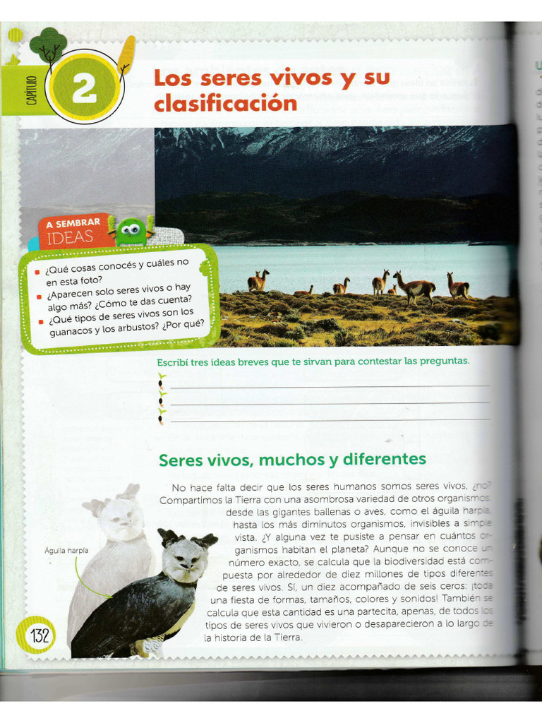 Guardianes Del Mundo 4 | PDF