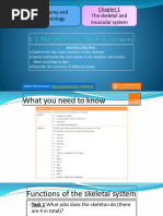 The Skeletal System - Skeleton - Living Organisms - KS3 Biology - BBC ...