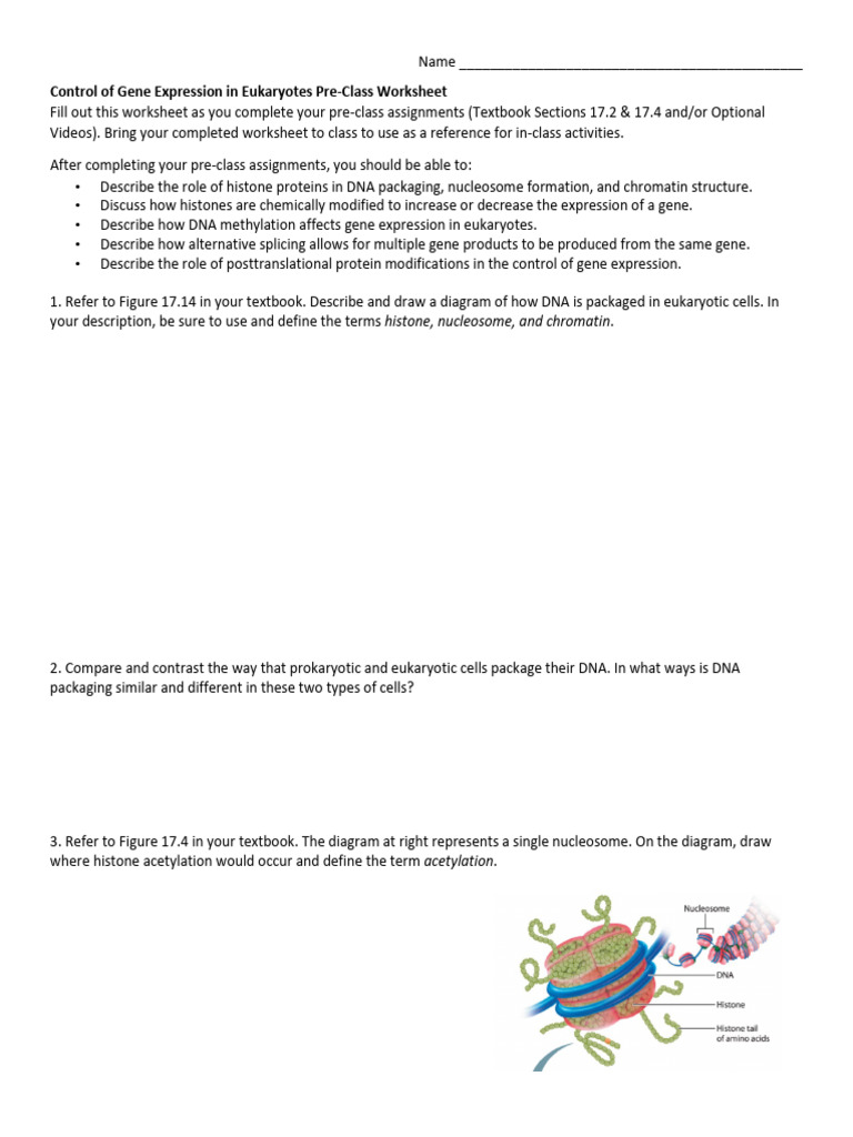 Week 8a Eukaryotic Gene Expression v2 | PDF | Gene Expression | Histone