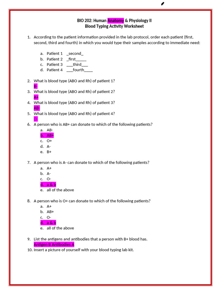 Blood Typing Worksheet Lyfe | PDF
