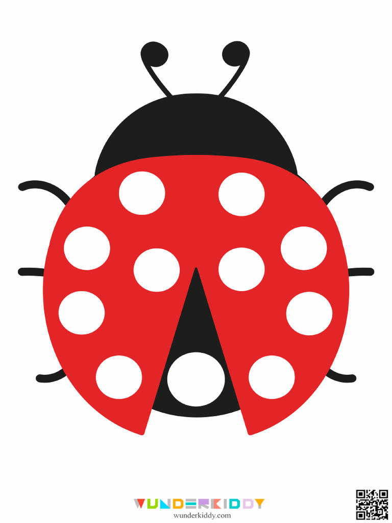 Wunderkiddy Ladybug Spots | PDF